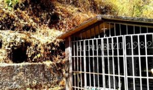 La memoria de El Calabozo y los 37 años de impunidad – Arpas